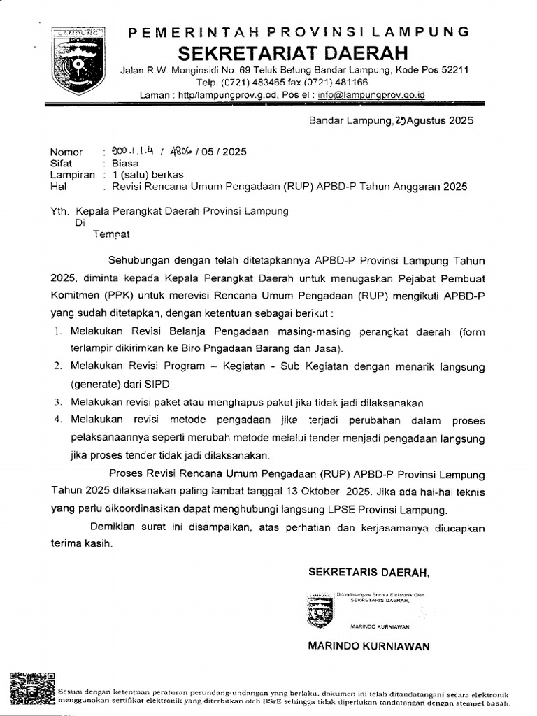 Revisi Rencana Umum Pengdaan (RUP) APBD-P TA 2025 | PDF