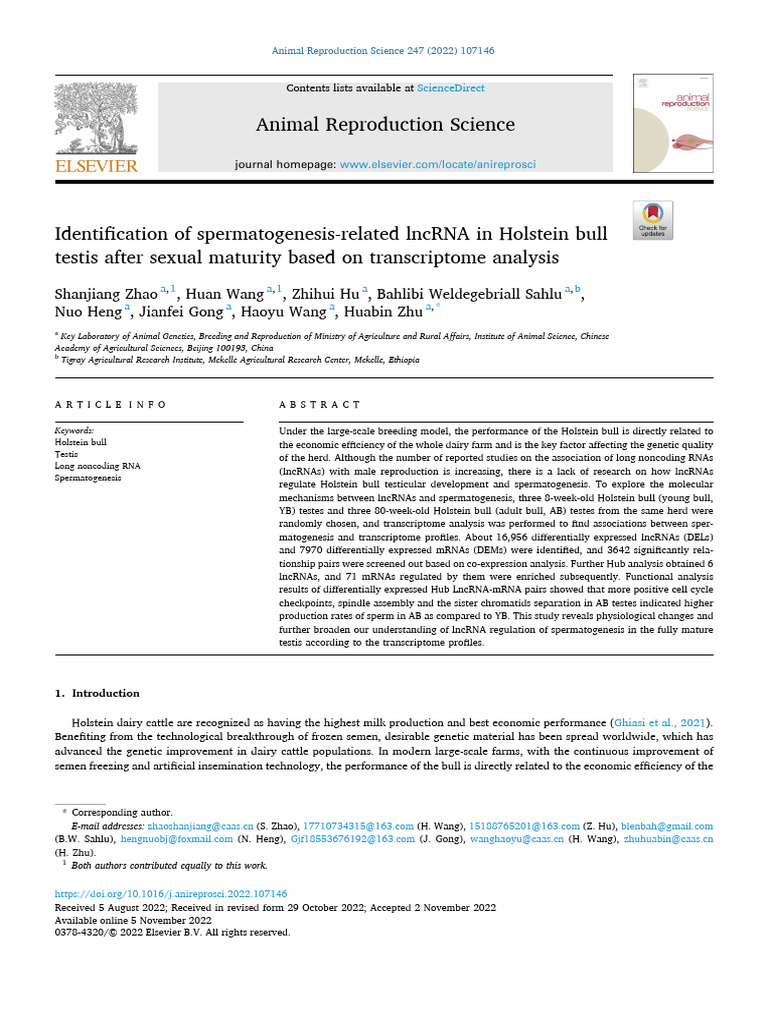 Identification of Spermatogenesis-Related LncRNA in Holstein Bull | PDF ...