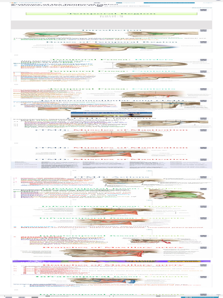 Anatomy of The Temporal Region & Temporomandibular Joint PPTX Death ...