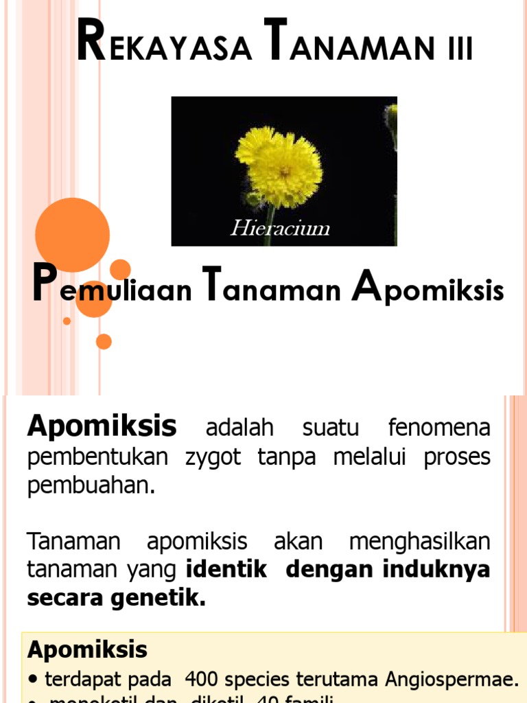 Apomiksis (2003) F | PDF