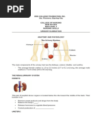Foley Catheter Use and Care Guide | PDF | Urinary Incontinence | Catheter
