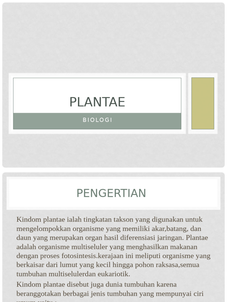 Plantae | PDF