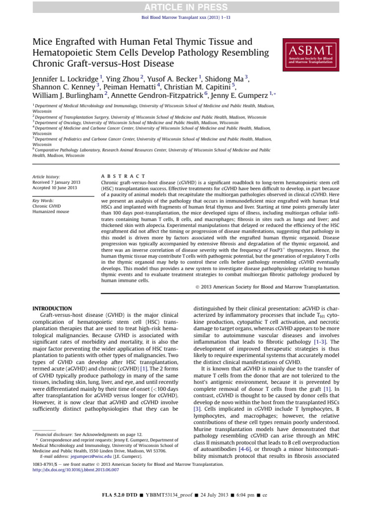 Mice Engrafted With Human Fetal Thymic Tissue and | PDF | Hematopoietic ...