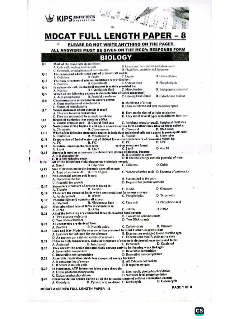 Kips FLP With Solution and Imp Discussion | PDF