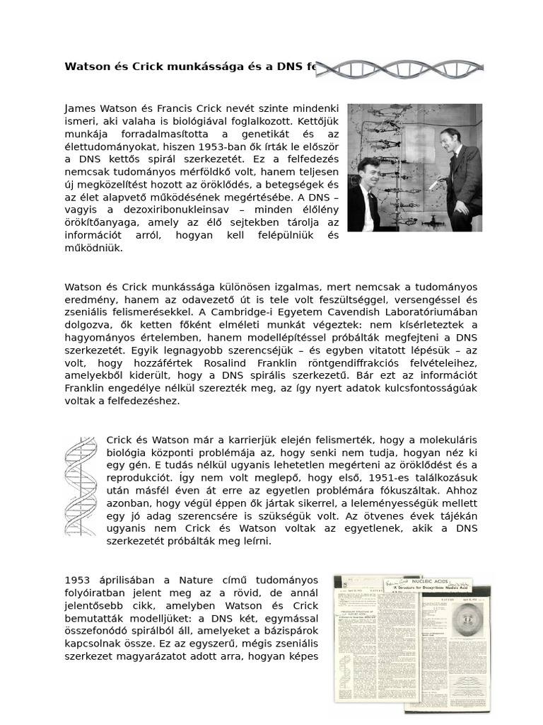 Watson És Crick Munkássága | PDF
