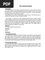 Grading Peripheral Pulses Guidelines | PDF | Pulse | Vein