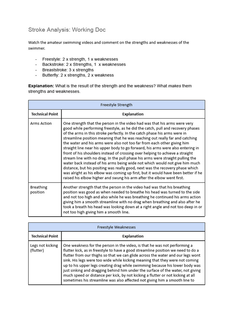 Ashvik's Criterion A - Stroke Analysis Working | PDF | Racing ...
