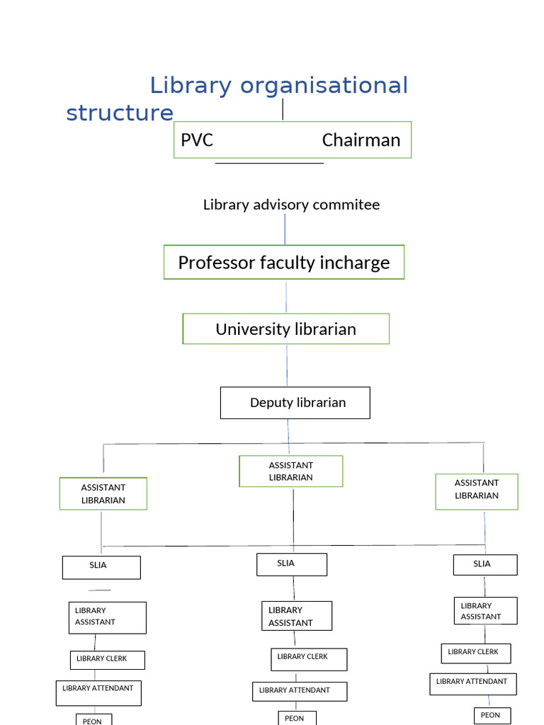 Library Organizational Structure Overview | PDF