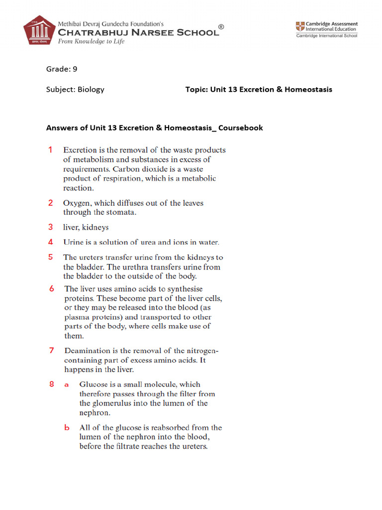 Excretion & Homeostasis Answers 9th Grade | PDF