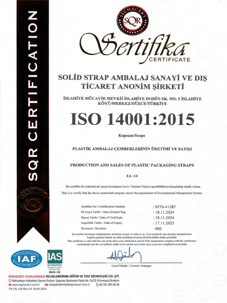 Solid Strap - Iso 14001 - 2015 | PDF