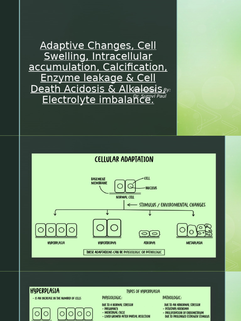 Adaptive Changes, Cell Swelling, Intracellular Accumulation | PDF