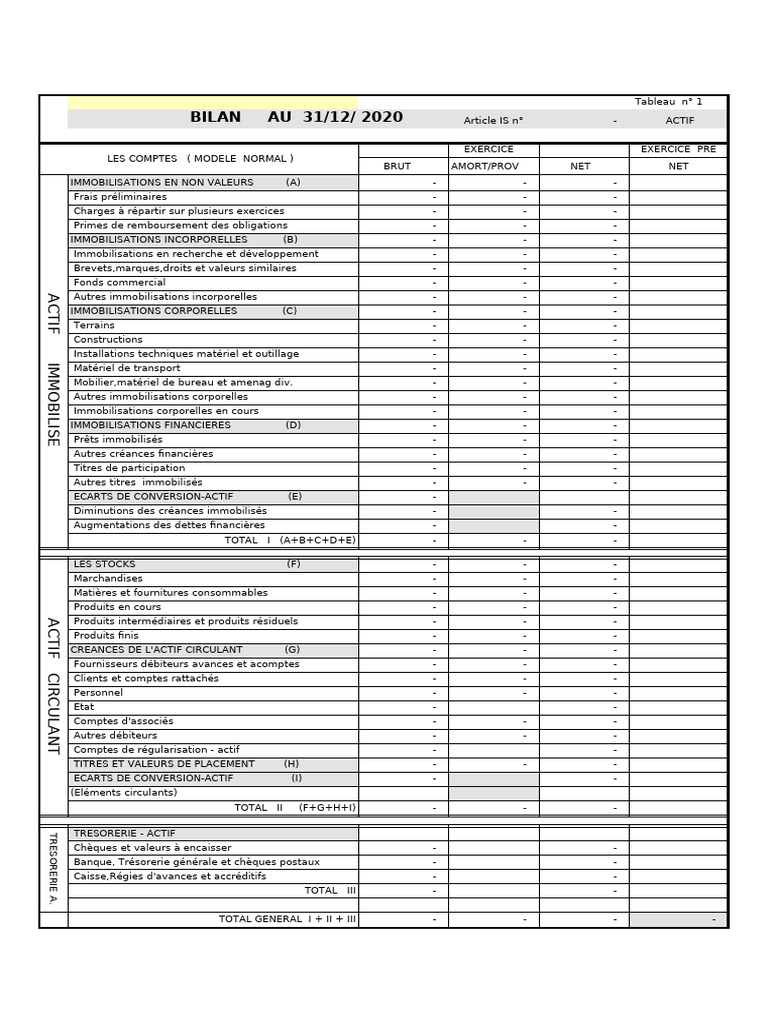 Bilan comptable vierge 2020 PDF | PDF | Immobilisations | Capitaux propres