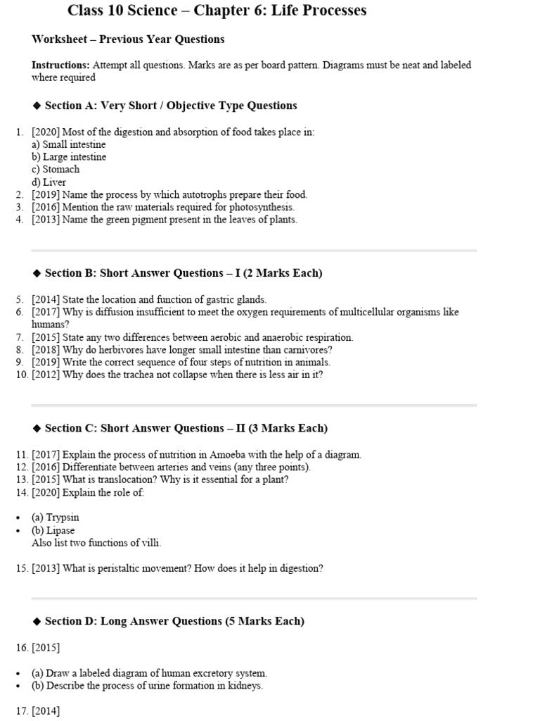 Class 10 Science Life Processes Worksheet | PDF | Stomach | Digestion
