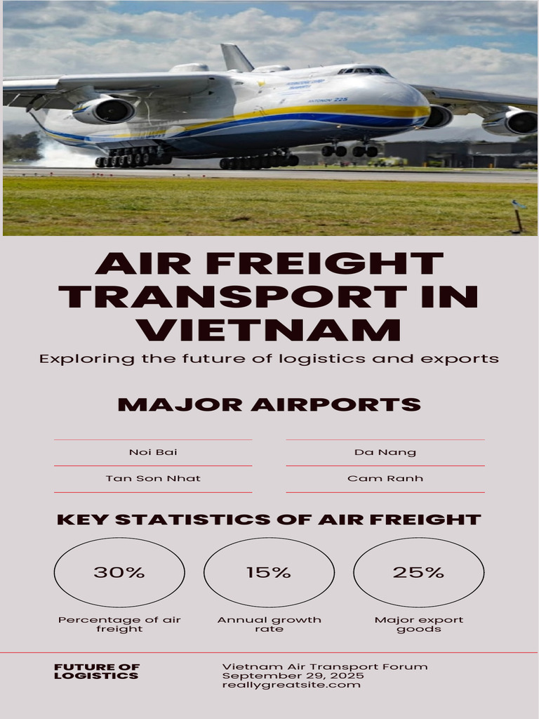 Infographic - Air Freight Transport in Vietnam | PDF