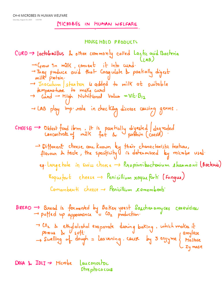 Microbes in Human Welfare One Note | PDF