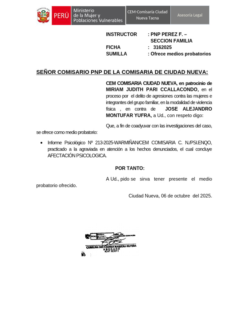 Adjunto Informe Psicologico Ficha Miriam Judith Pari Ccallacondo | PDF