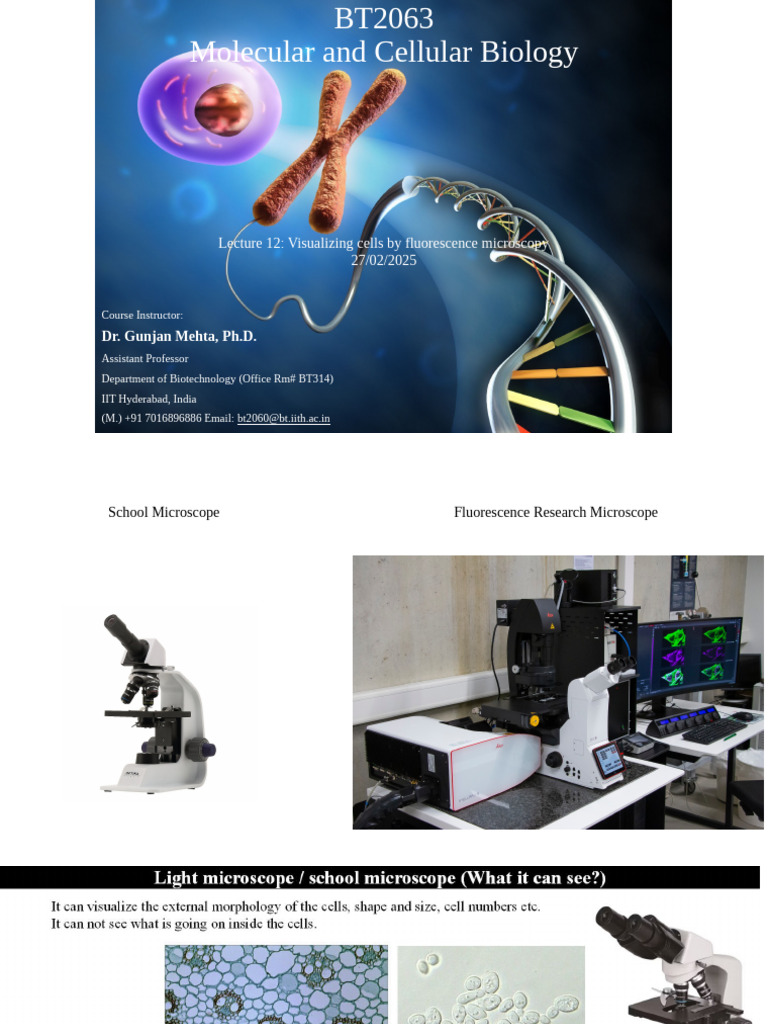 Fluorescence Microscopy Techniques Overview | PDF | Fluorophore ...