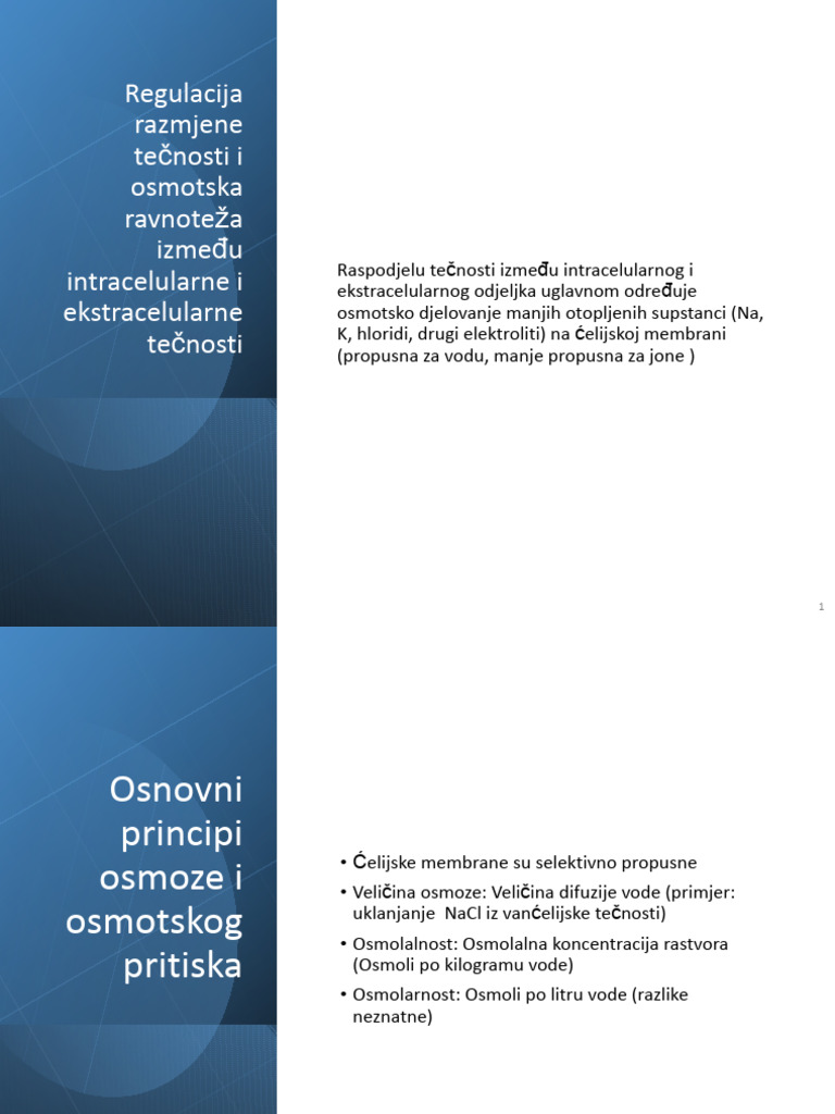 2023-11-02 Seminarski Rad | PDF