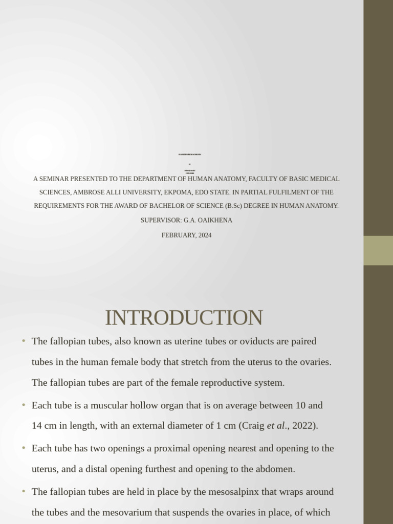 Fallopian Tube Anatomy and Functions | PDF | Anatomy | Female Mammals