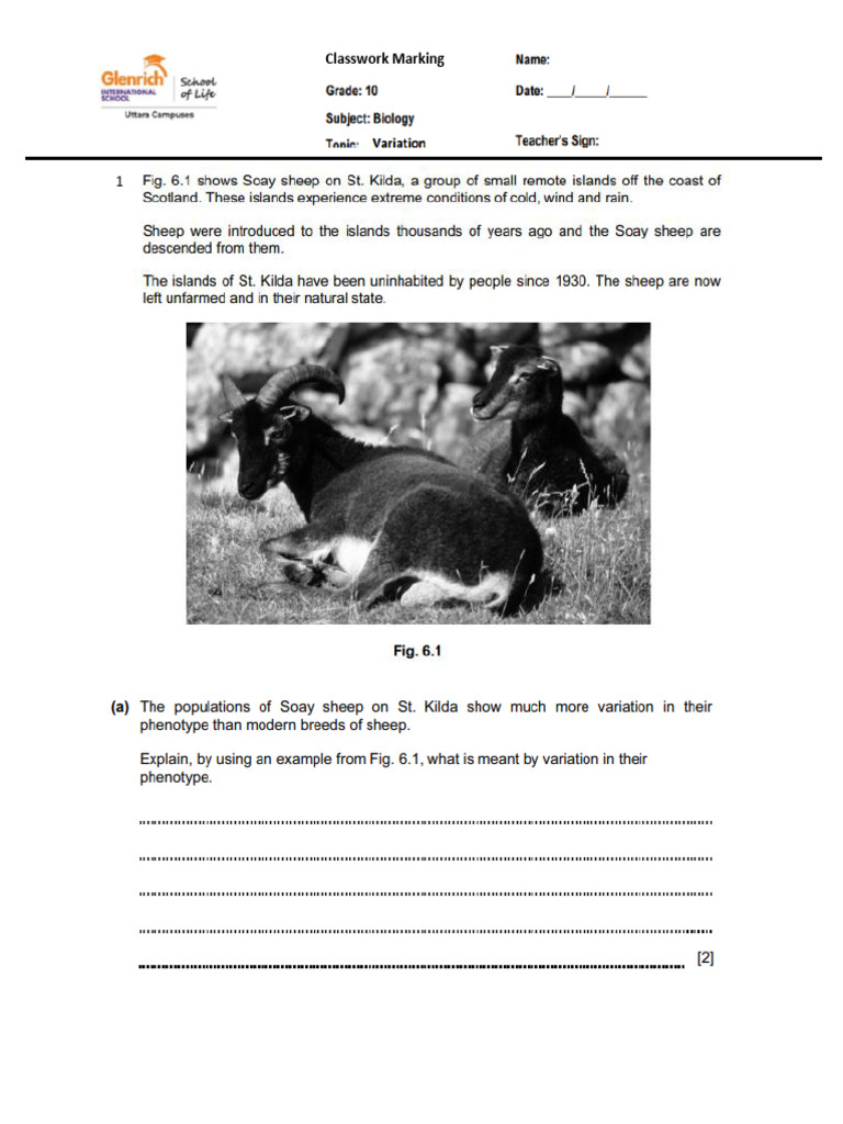 Classwork Marking On VARIATION | PDF