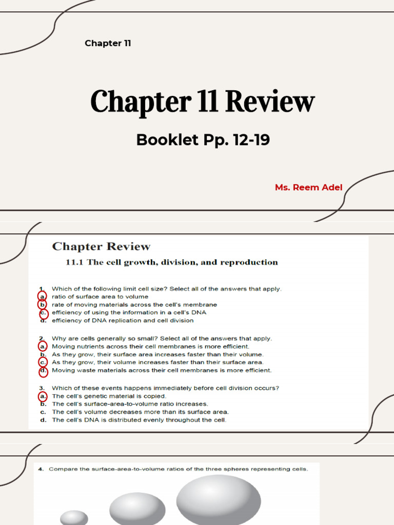 Chapter 11 Cell Division Overview | PDF