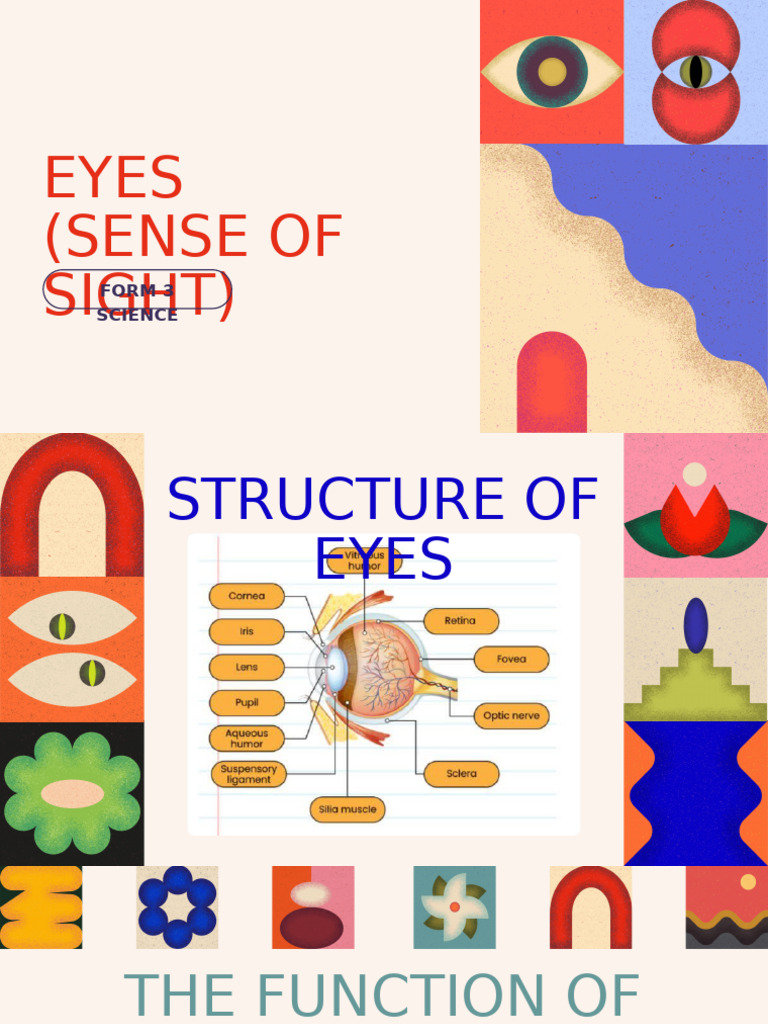 Eyes | PDF