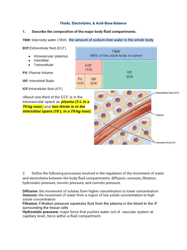 WEEK 3 Fluids, Electrolytes, & Acid-Base Balance | PDF | Physiology