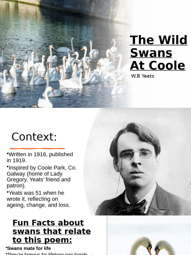 Yeats' "The Wild Swans at Coole" Analysis | PDF | W. B. Yeats | Poetry
