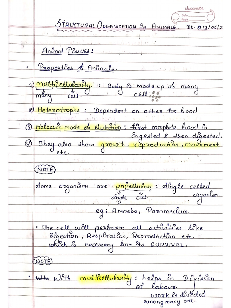 Class 11 Structural Organisation in Animals Notes (Neet or Cbse) | PDF