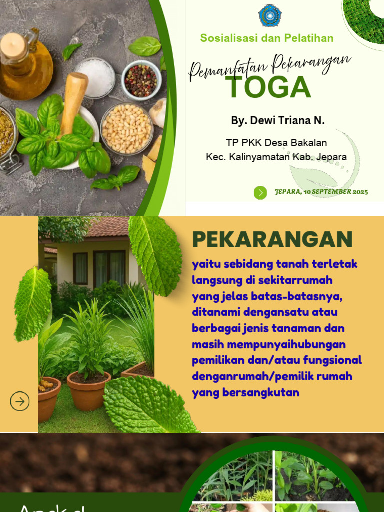Manfaat dan Jenis Tanaman TOGA | PDF