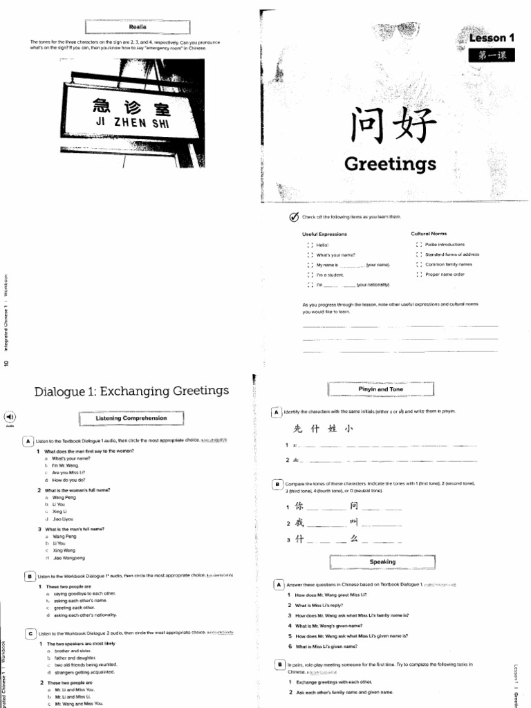 Chinese Greetings and Introductions Guide | PDF | Pinyin | Human Voice