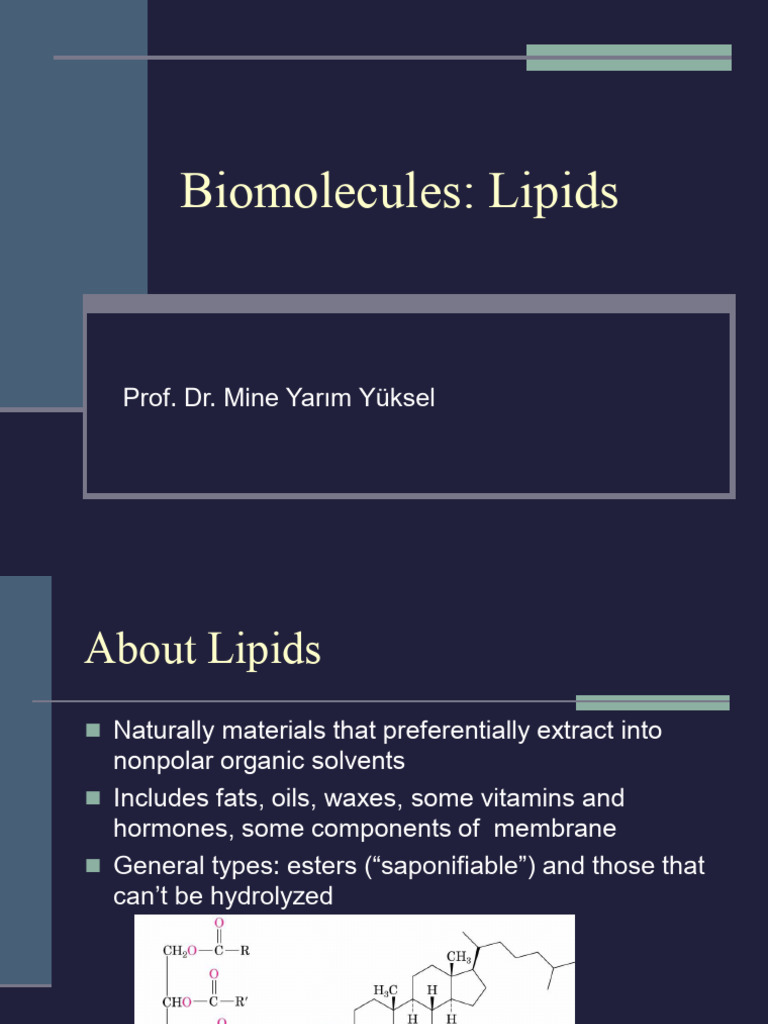 17 XVII Biomolecules Lipids | PDF | Fatty Acid | Fat