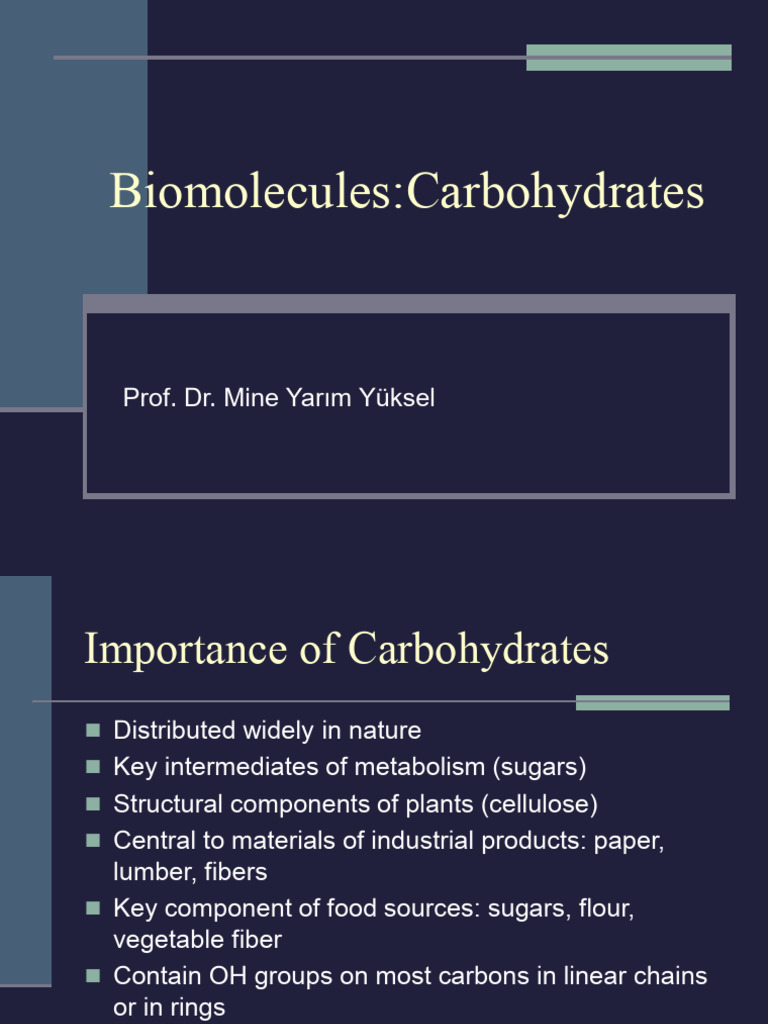 15XV Biomolecules Carbohydrates | PDF | Carbohydrates | Glucose