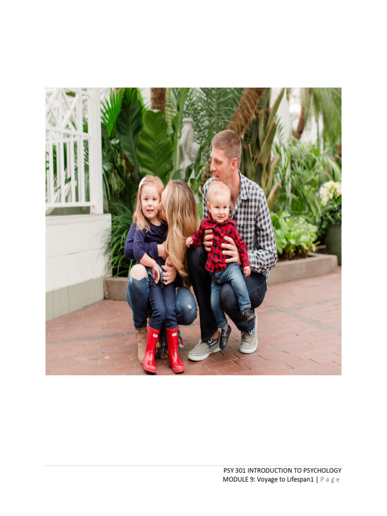 Module 9 Voyage To Lifespan | PDF | Attachment Theory | Adolescence