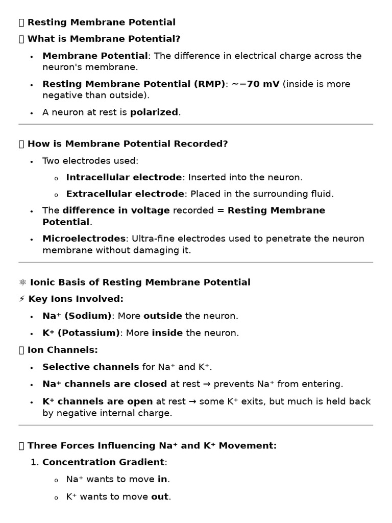 Understanding Resting Membrane Potential | PDF | Synapse | Chemical Synapse
