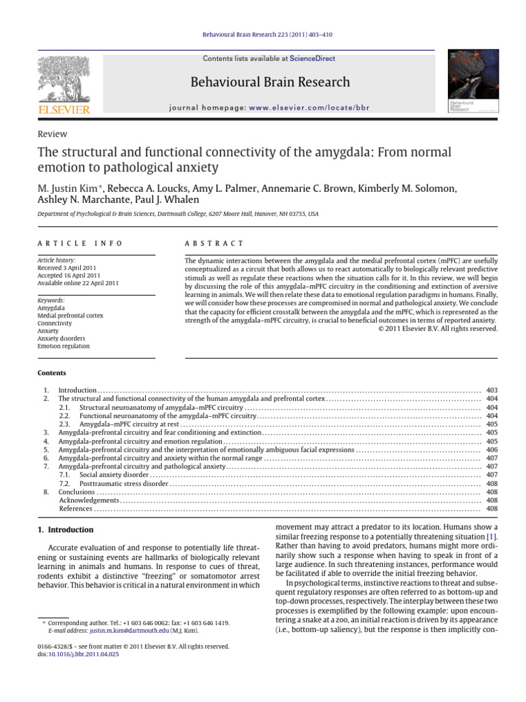 The Structural and Functional Connectivity of The Amygdala From Normal ...