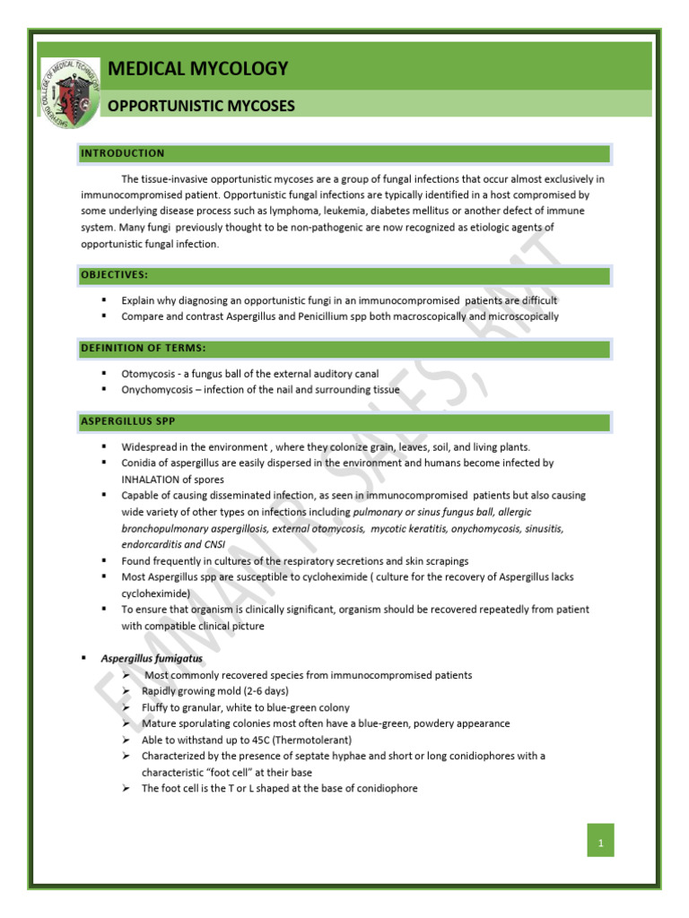 Mycology Midterm Modules | PDF | Candida (Fungus) | Candidiasis