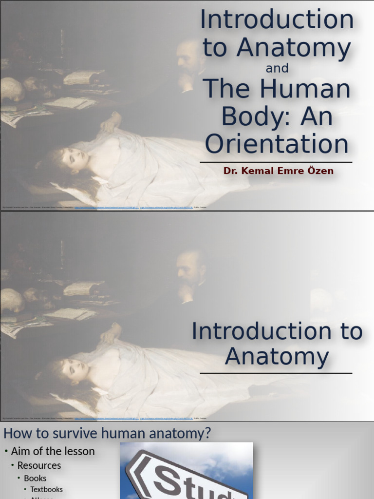 Anatomy Study Guide and Resources | PDF | Anatomical Terms Of Location ...
