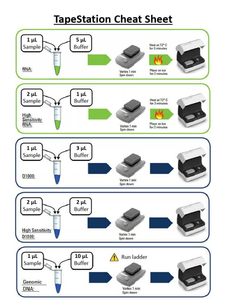 Tape Station Cheat Sheet | PDF