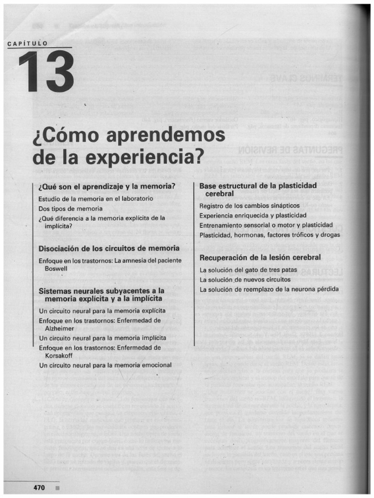 8 - Kolb 2002 - Memoria | PDF