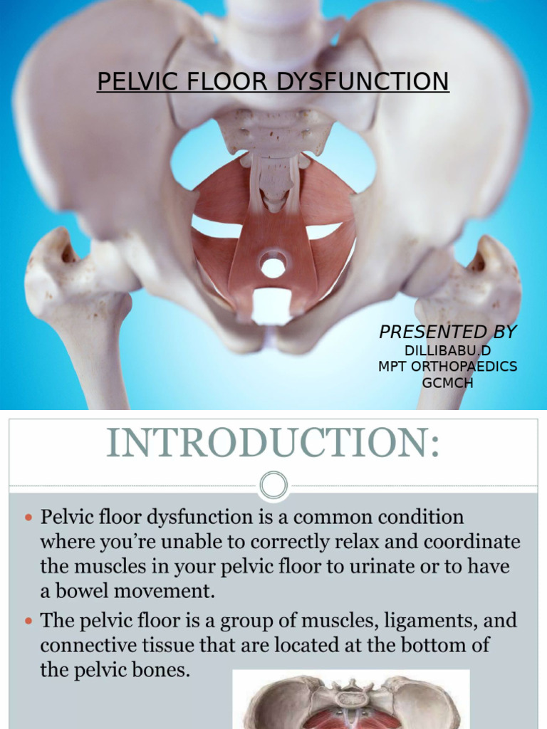 Pelvic Floor Dysfuction | PDF