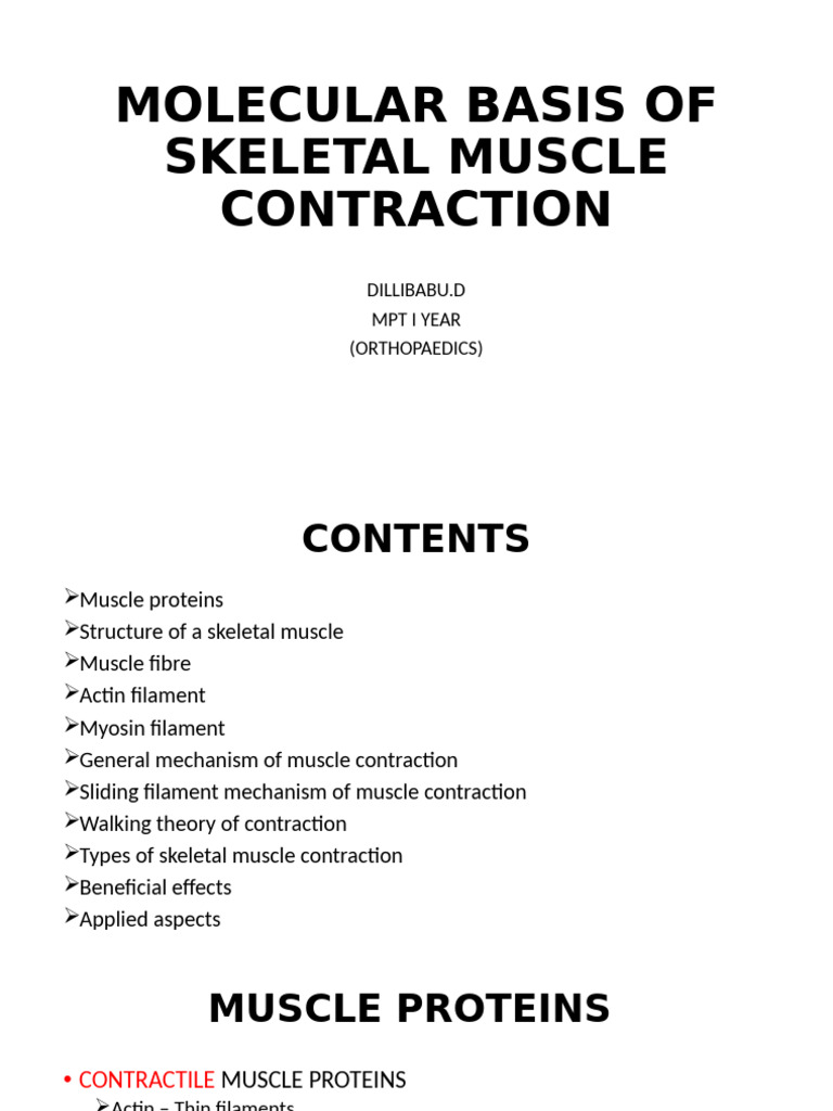 Molecular Basis of Skeletal Muscle Contraction | PDF | Muscle ...