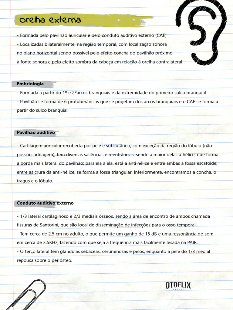 Estrutura da Orelha Externa | PDF