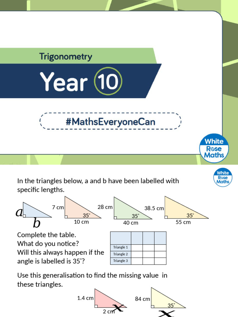 Year 10 Autumn 2 Trigonometry Exemplar Questions and Answers 2 | PDF ...