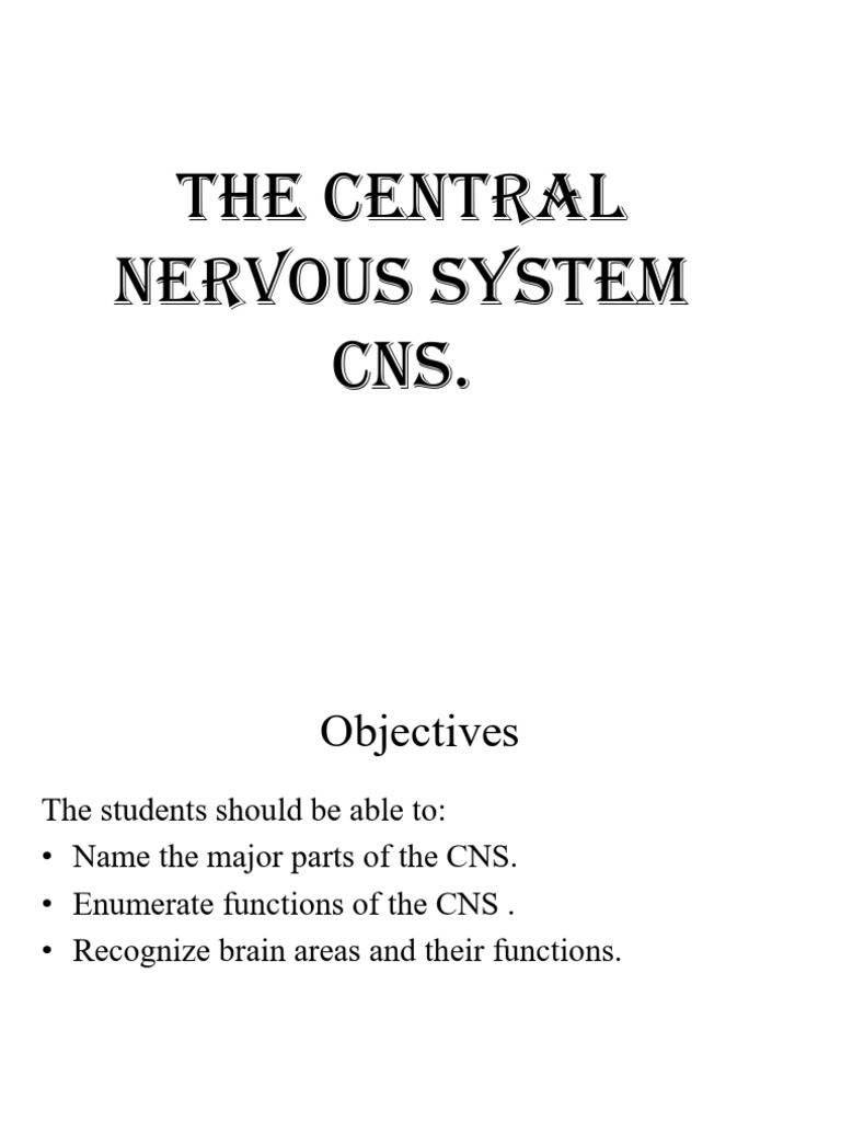 The Central Nervous System Cns | PDF | Brainstem | Central Nervous System