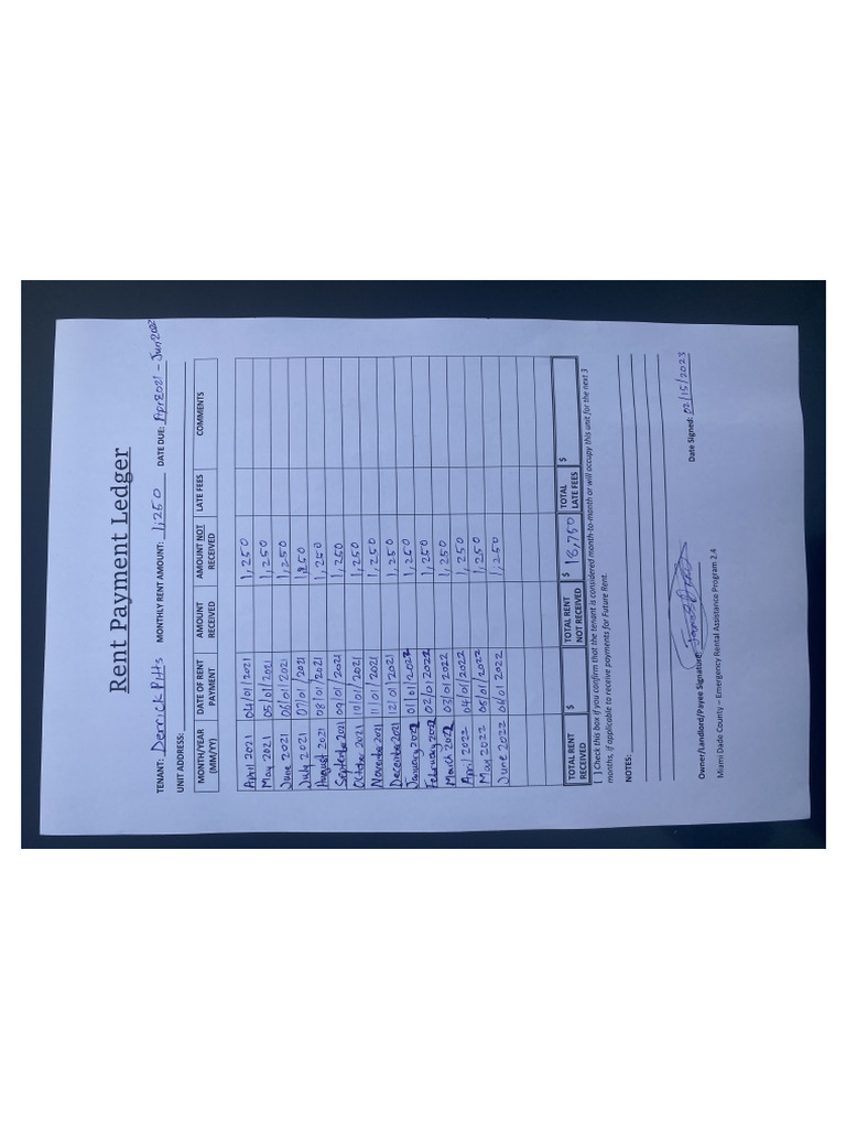 Payment Ledger | PDF