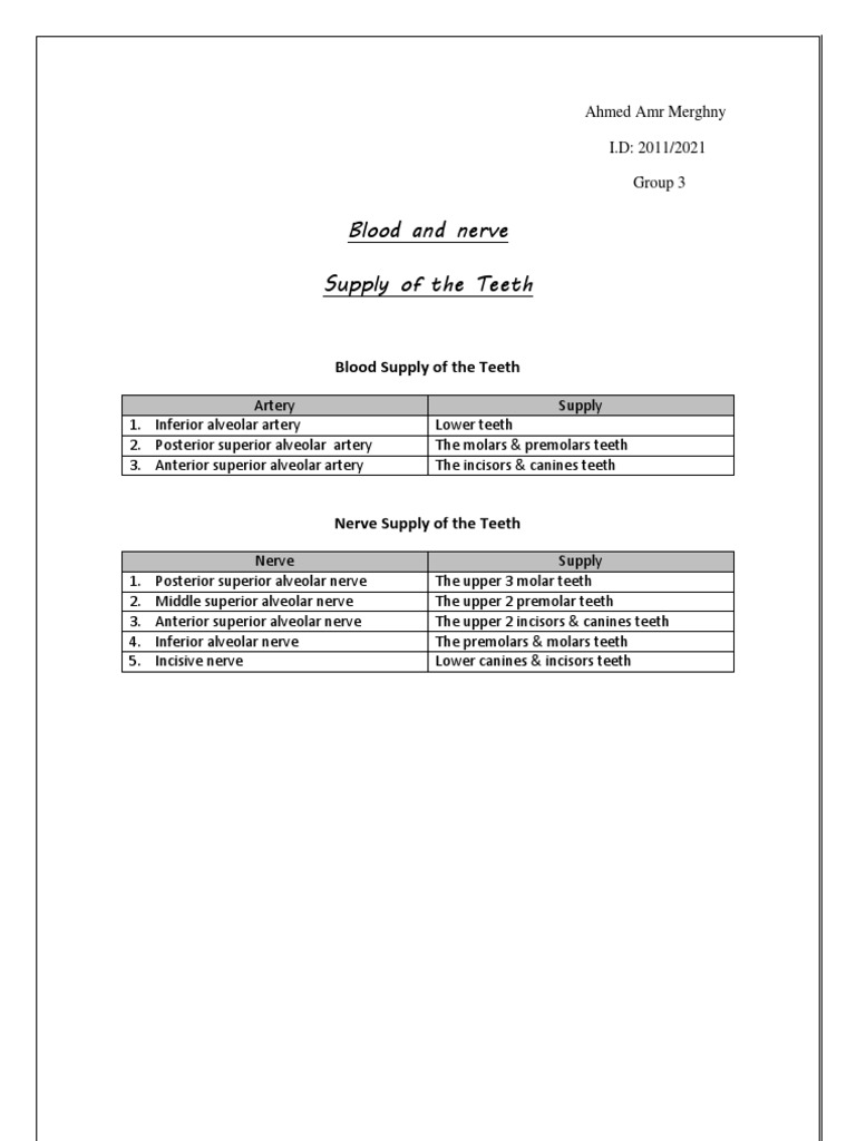 Blood & Nerve Supply of Teeth | PDF | Human Tooth | Tooth