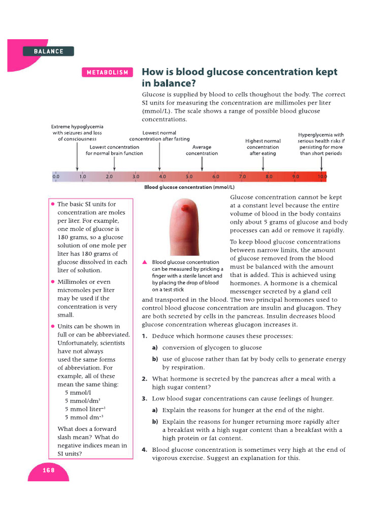 Homeostasis Blood Glucose | PDF