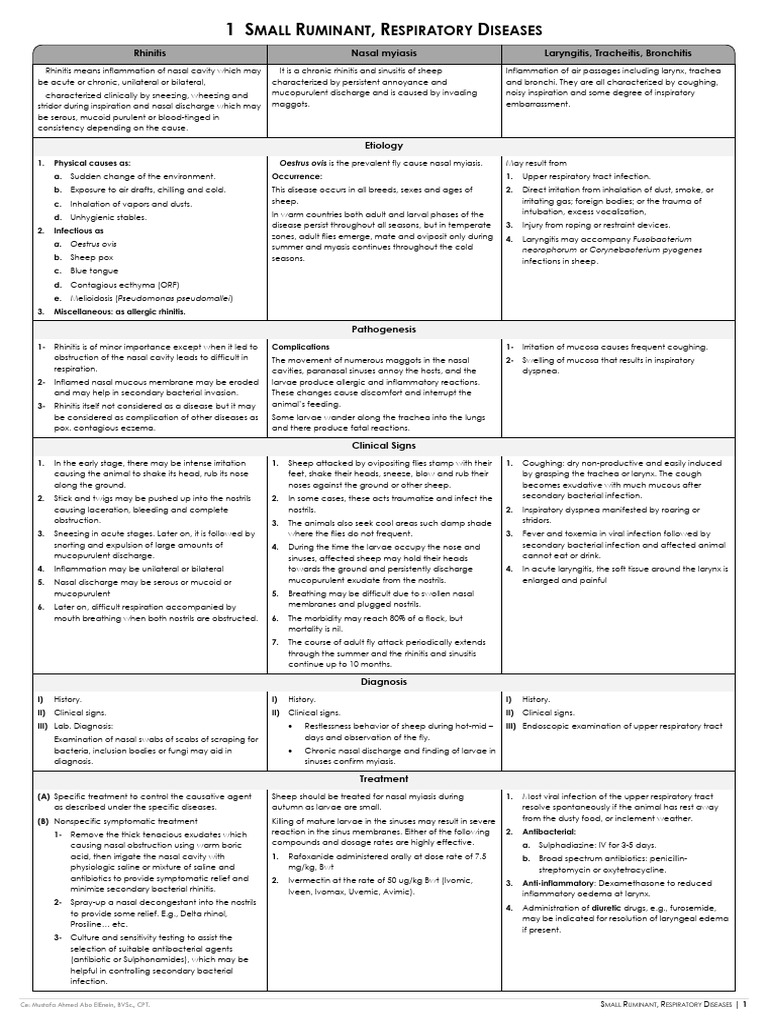 Small Ruminant Diseases Comparative | PDF | Pneumonia | Lung