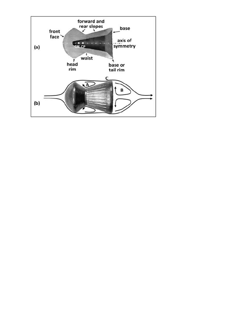 Pellet Recirculation Flows | PDF